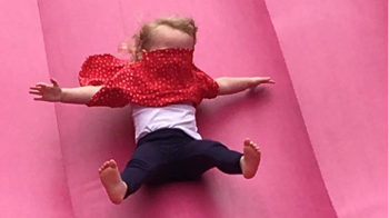 Caging the Wild Animal - Marc Armitage